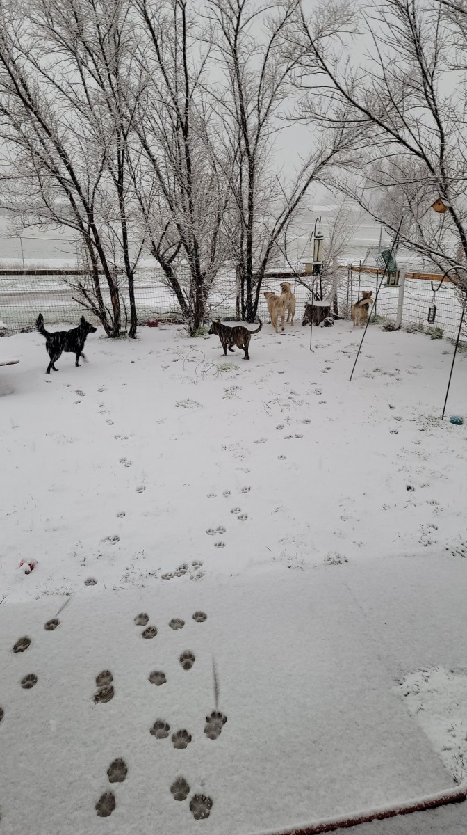 Random – Pastor Dan in SD